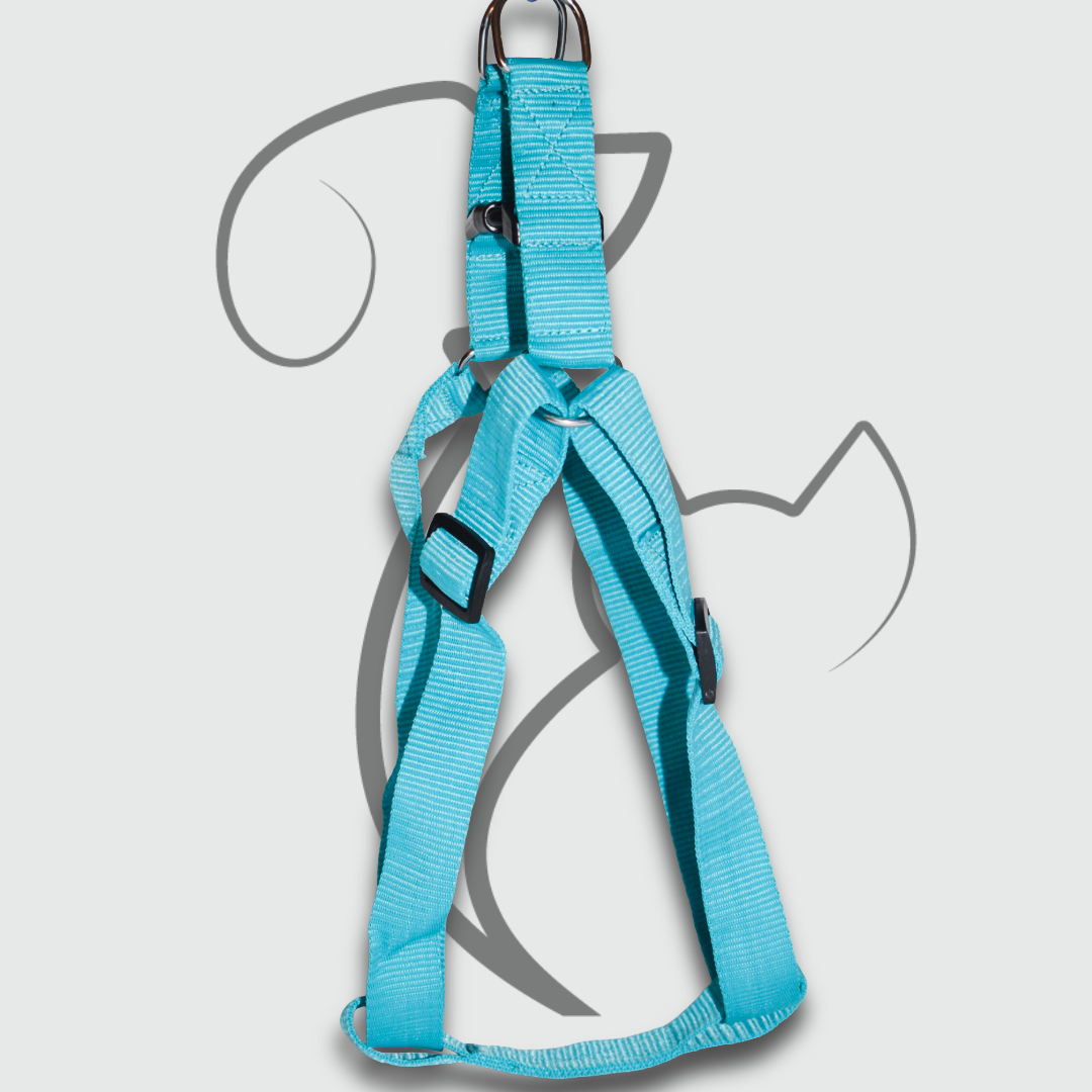 Teal Blue Polymer Dog Harness | Stylish & Strong – Petopia