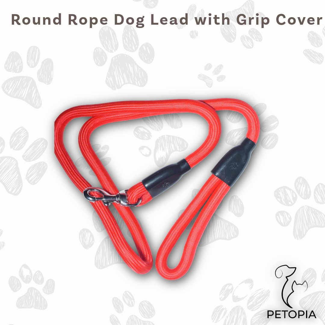 Red Rope Dog Leash | Bold & Strong – Petopia